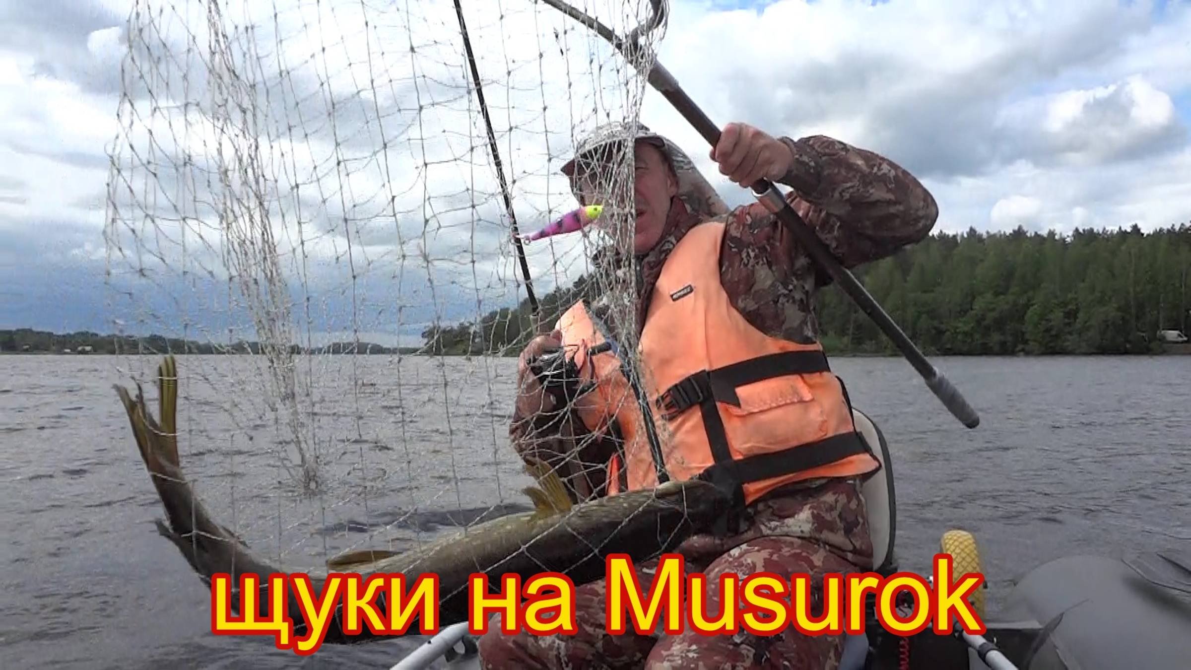 Верхняя Волга радует поклевками. Рыбалка на Вселуге в июне 2025г. Воблер от Mr.Musurok в деле.