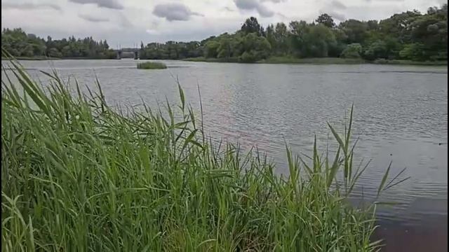 Прогулка у речки