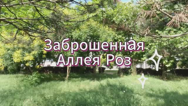 Анапа. Заброшенная Аллея Роз