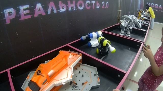 Настя против папы, битва на роботах