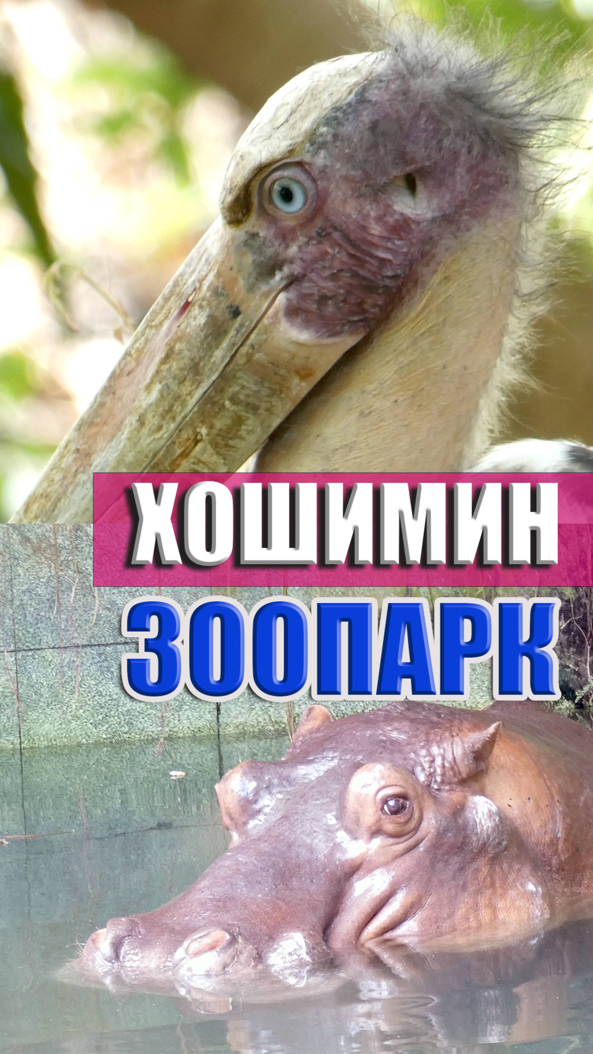 Зоопарк Хошимин