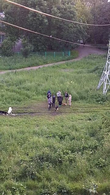 VID_20250701_213320