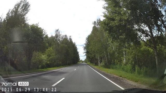 Лиса в Городецком районе