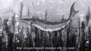 Мультфильм от детской студии мультипликации «Шелкопряд» «Осётр»