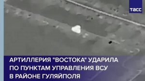 Артиллерия "Востока" ударила по пунктам управления ВСУ в районе Гуляйполя