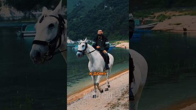 ХЕЙТЕРЫ ЗАМОЛЧАЛИ! Чимаев получил ВИЗУ и прибыл в США