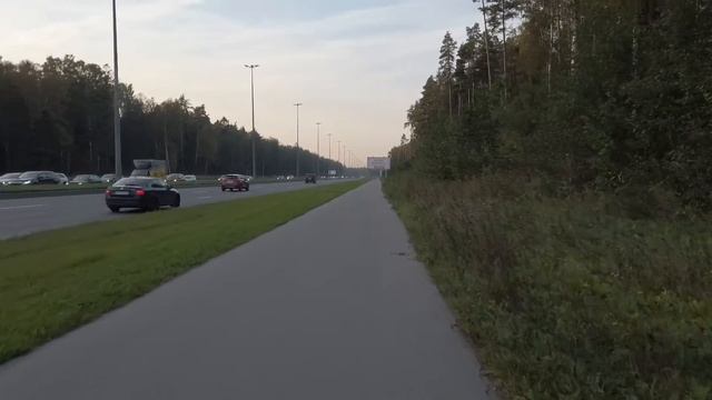 День спорта.