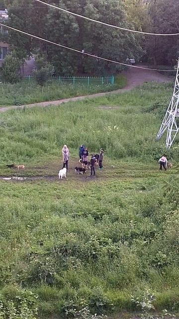 VID_20250701_213639
