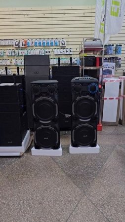 В Обнинск для Екатерины едет крутая колонка ELTRONIC 30-57