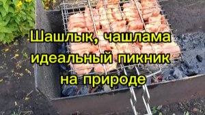 Шашлык, чашлама, идеальный пикник на природе.