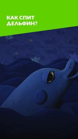 🐬 Как дельфинам удаётся спать и одновременно следить за безопасностью?