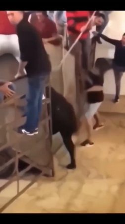 Мы убираем все сложности с доставкой!)