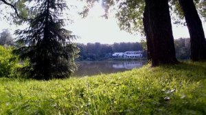 Крестовский остров