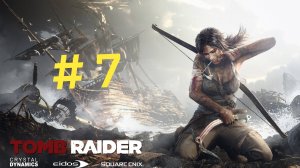 Tomb Raider(2013). PS3 версия.  Эпизод 7