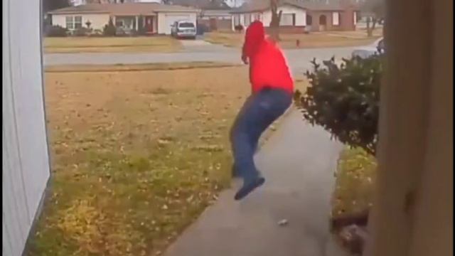 Страшнее белки зверя нет