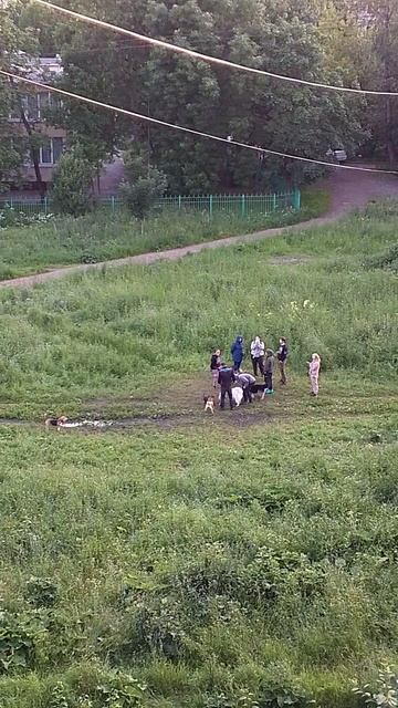 VID_20250701_213407