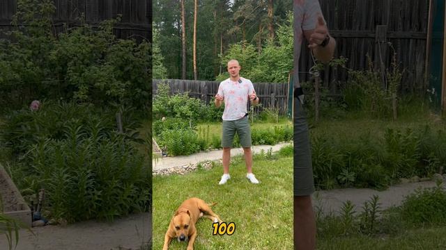 В чем отличие класса прочности от марки бетона?