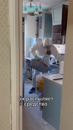 Результат дезинсекции от тараканов