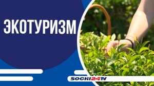 В Сочи активно развивают эко-туризм