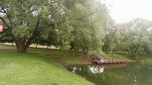 Малый Солнцевский пруд. Живые фото