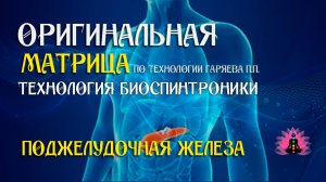 Поджелудочная железа ⚠️ Оригинальная программа матрица по технологии Гаряева П.П ☀️ SoftRadio.ru