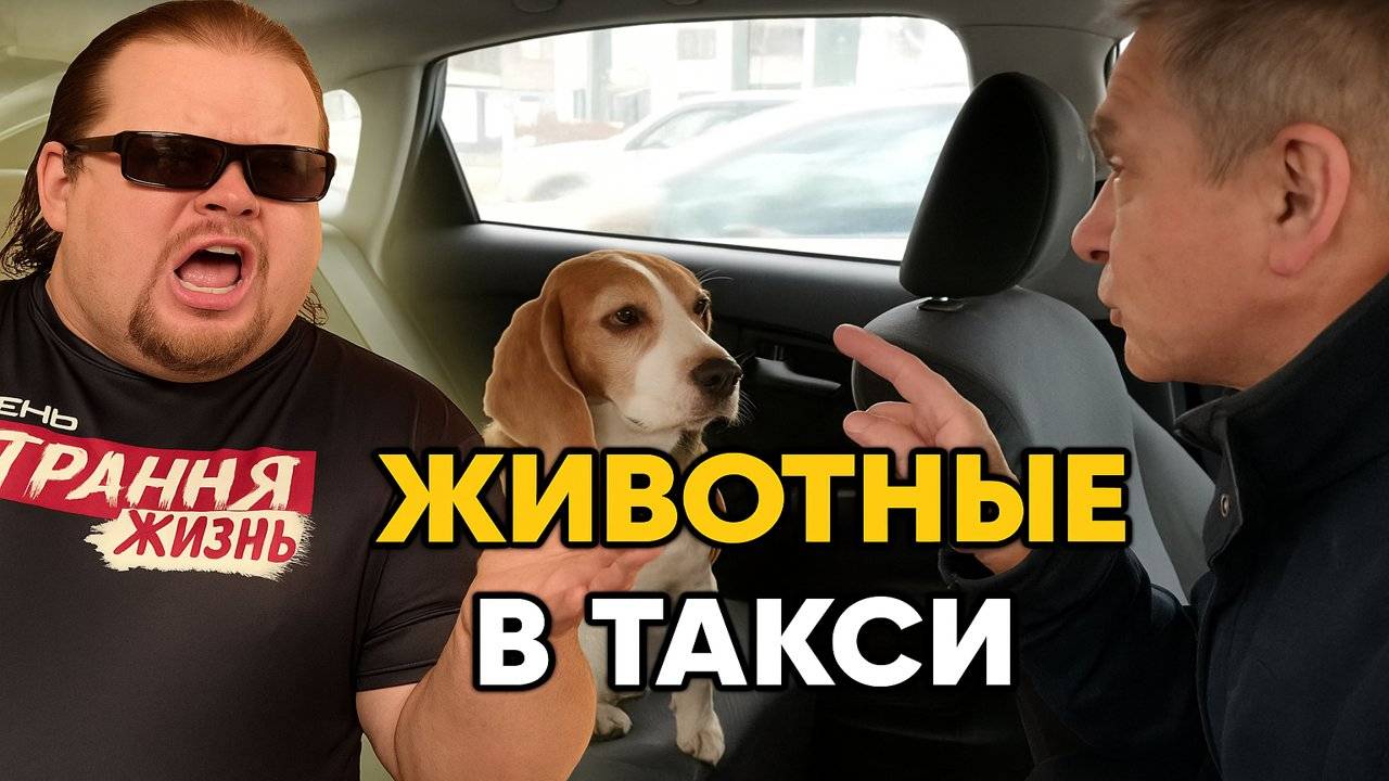 Животные в Такси. Перевозка домашних животных в Яндекс такси закончилась Конфликтом! ТРЕШ КОНТЕНТ.