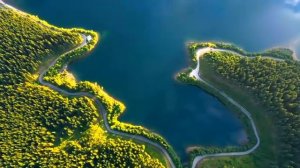 Проблеск рыбы в глубине, нарушающий зеркало тихой заводи