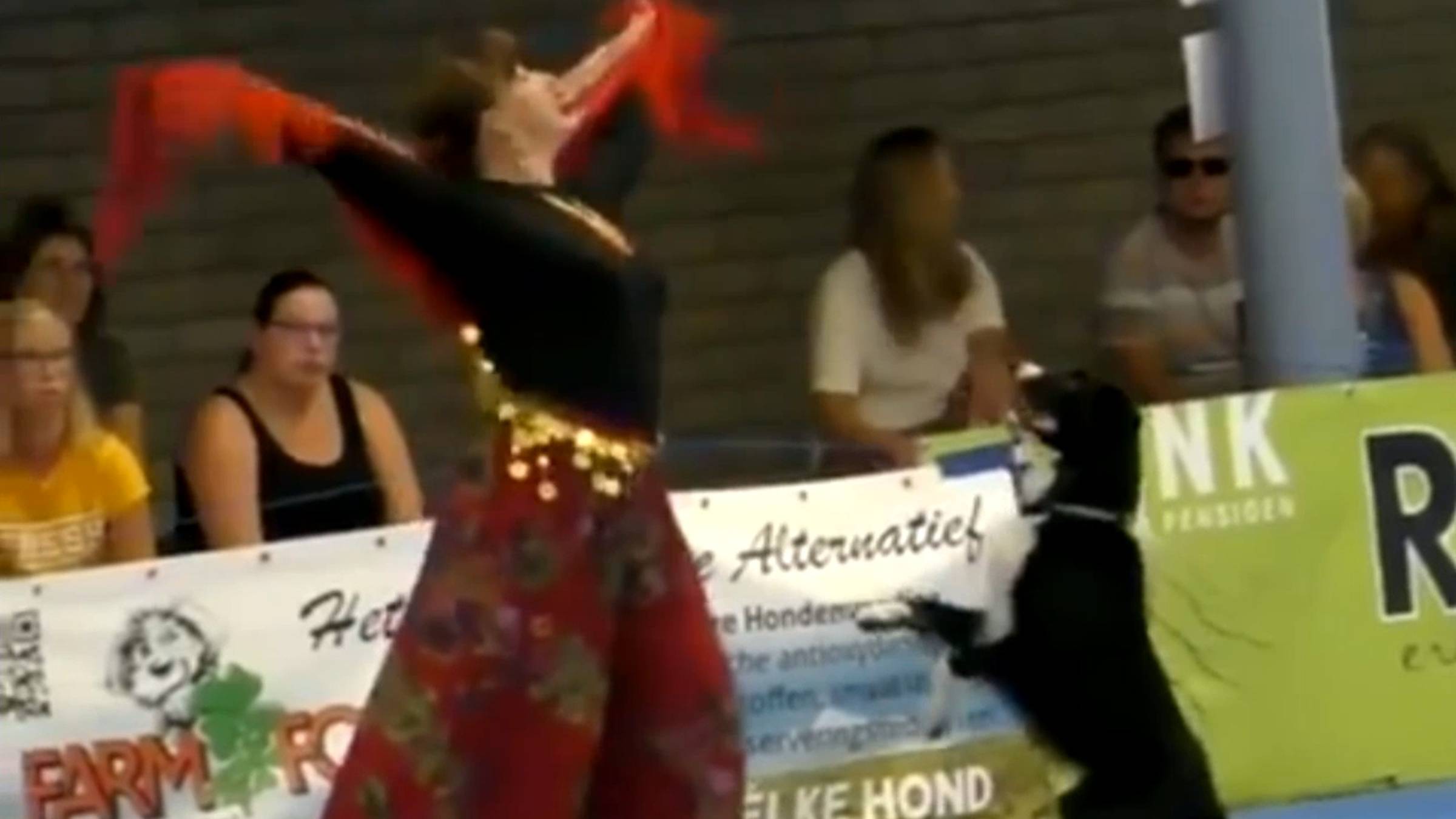 Вот это да, вот это танц пара!!!