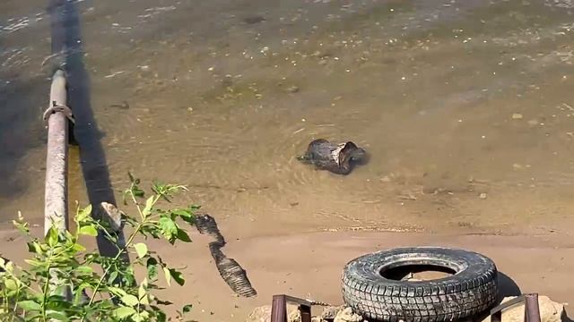 Как пройти к воде