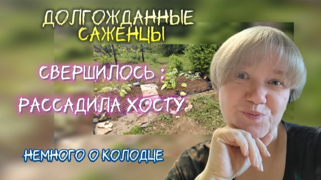 Саженцы с сайта Гаршинка. ру 🌱 рассадила хосту 😍 навожу красоту на участке #влог #дача #рассада