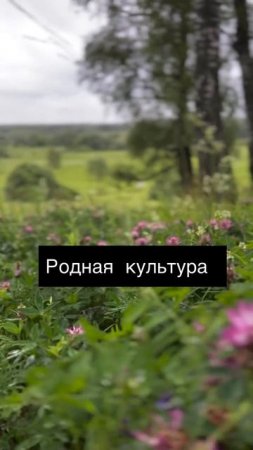 Наше Всё!