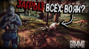 Новый КВЕСТ! Бойня в Темной Долине! Путь Ворона #22 Прохождение GAMMA 0.9.3.1 S.T.A.L.K.E.R. Anomaly