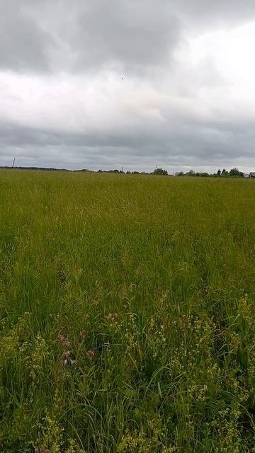 Фотопрогулка часть 11 - окончание