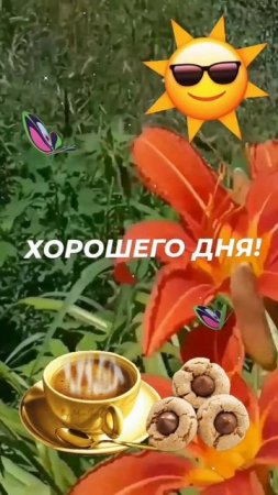 Доброе утро! Хорошего дня!