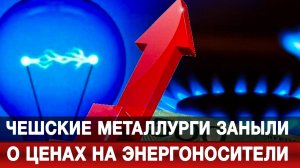 Чешские металлурги заныли о ценах на энергоносители
