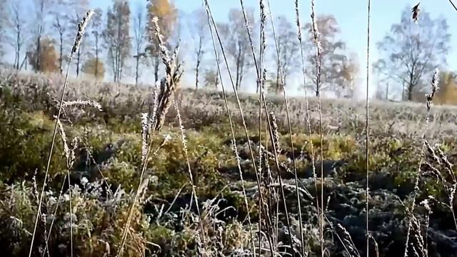 Автопилот - Владимир Мещеряков