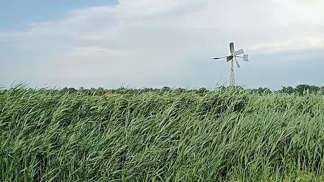 Тропарь греческий положению честно́й ризы Пресвятой Богородицы во Влахернской храме, 2 июля