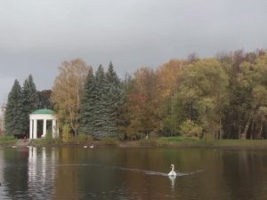 Цитатник - От Константина