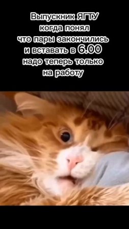 Выпускник ЯГТУ, признавайся, узнал себя?