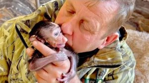 НЕВЕРОЯТНО! Олег Зубков НЕ ПРИСЫПЛЯЯ мама гамадрила просто взял у нее маленькую Анфису