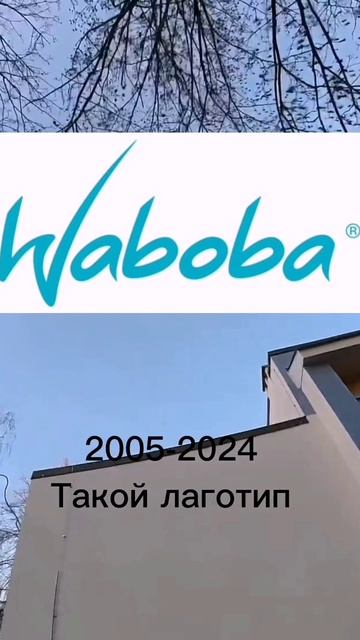 Кто придумал мячик Moon ball