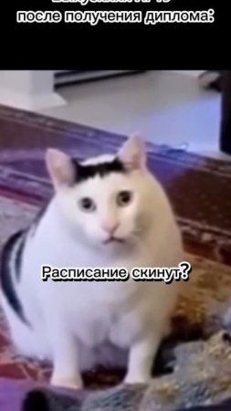 Первый день после получения диплома... 🤯
 Узнаёте себя? 😉