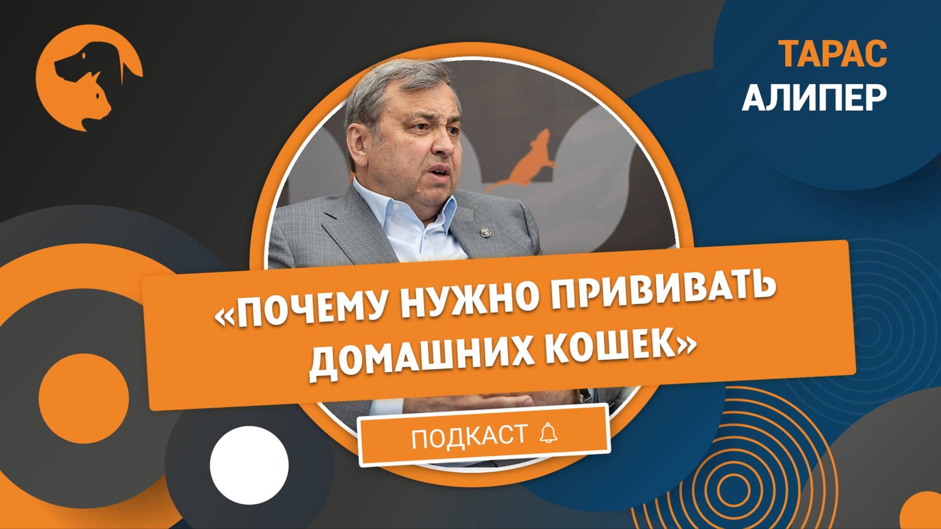 Тарас Алипер: «Почему нужно прививать домашних кошек»