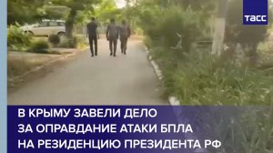 В Крыму завели дело за оправдание атаки БПЛА на резиденцию президента РФ
