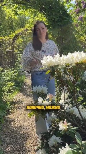 щепа НА МУЛЬЧУ! Что думают агрономы