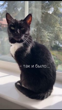 Когда справшиваешь рабочего -что за косяки???