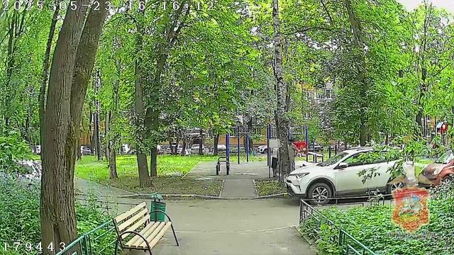 Полицейские в Химках задержали курьера телефонных мошенников, похитивших у пенсионерки 8 млн руб.