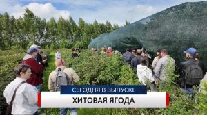 НОВОСТИ ДНЯ. Программа «Губерния», 2 июля