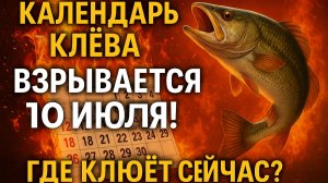 10 ИЮЛЯ — ЛЕТНИЙ ПИК КАК НЕ ПРОПУСТИТЬ ЖОР И ПЕРЕХИТРИТЬ САМУЮ ОСТОРОЖНУЮ РЫБУ