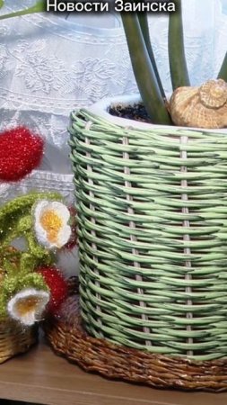 От вазы до кашпо: мастерица из Аксарино превращает ротанг в долговечные шедевры
